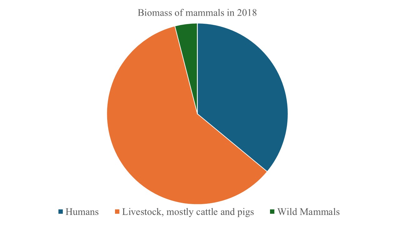 The Wild Mammal Biomass Has Substantially Declined – Super Facts