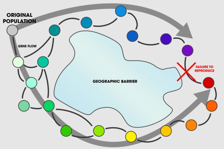Early Homo Sapiens lived at the same time as many other human species ...